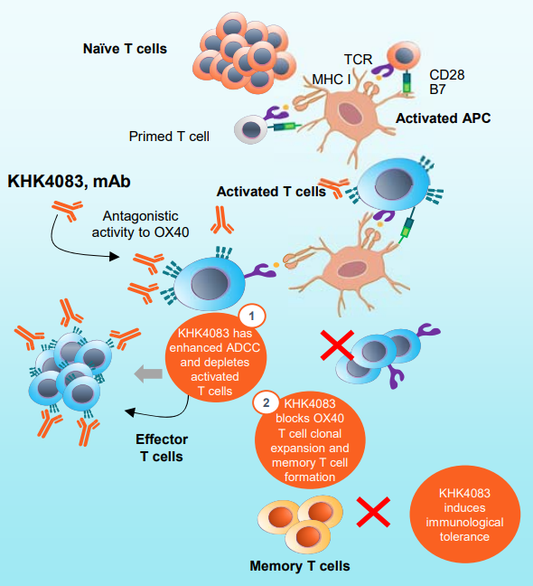 PD-L1×OX40双抗获批IND 免疫检查点激动剂未来可期-试药员招聘与临床试验信息平台