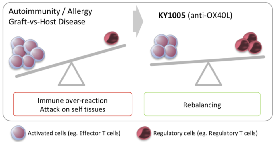 PD-L1×OX40双抗获批IND 免疫检查点激动剂未来可期-试药员招聘与临床试验信息平台