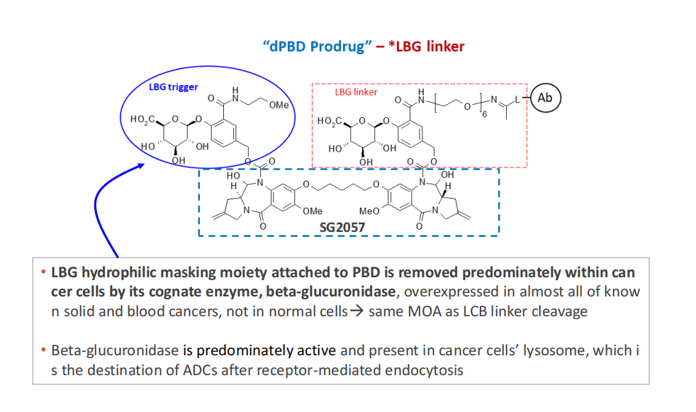 国内首款ROR1 ADC！注射基石药业CS接受5001临床试验申请-试药员招聘与临床试验信息平台