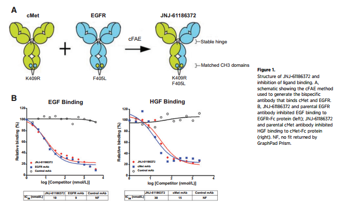 强生EGFR/c-Met双抗在中国申报皮下注射新剂型-试药员招聘与临床试验信息平台