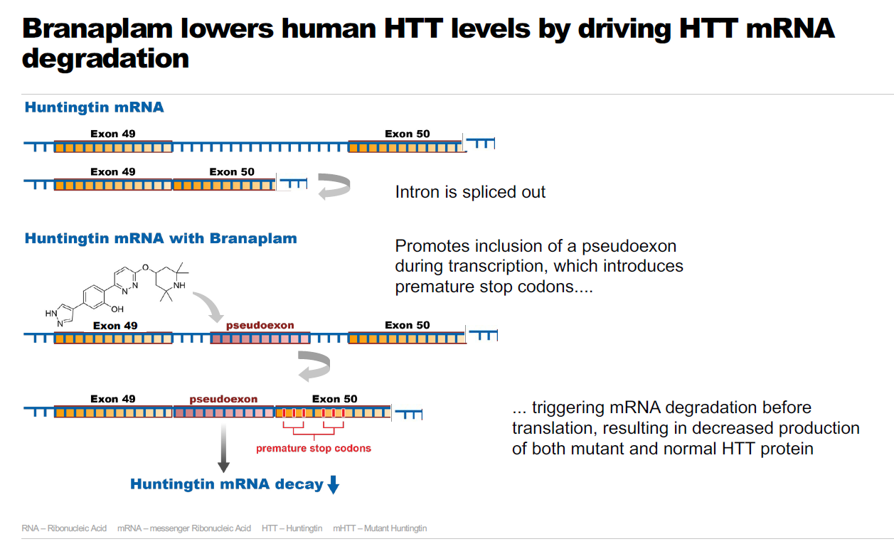 诺华口服小分子RNA靶向治疗可有效减少亨廷顿病致病蛋白的表达-试药员招聘与临床试验信息平台