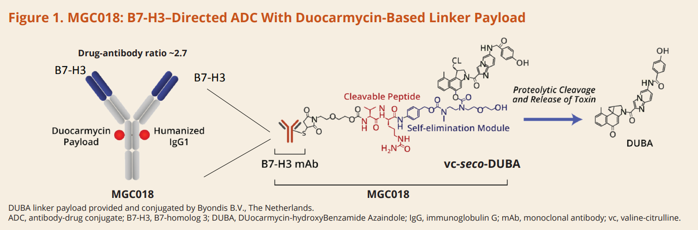 B7-H3篝火的靶点再次升起 天生生物、百奥泰、博生吉领潮-试药员招聘与临床试验信息平台