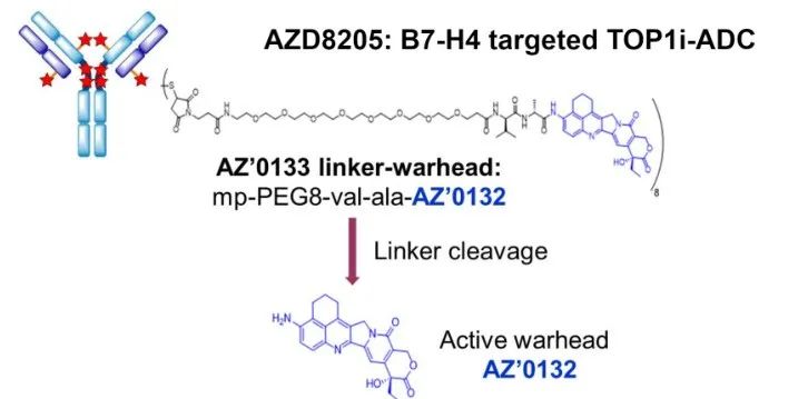 阿斯利康AZD批准8205临床试验申请-试药员招聘与临床试验信息平台