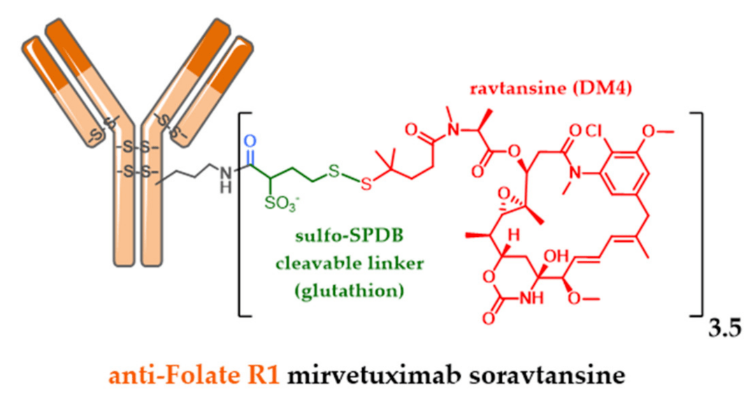 ADC新进展 | 全球首创FRα ADC关键临床达主要终点 美国BLA进入倒计时！第一三共HER2 ADC国内申报-试药员招聘与临床试验信息平台