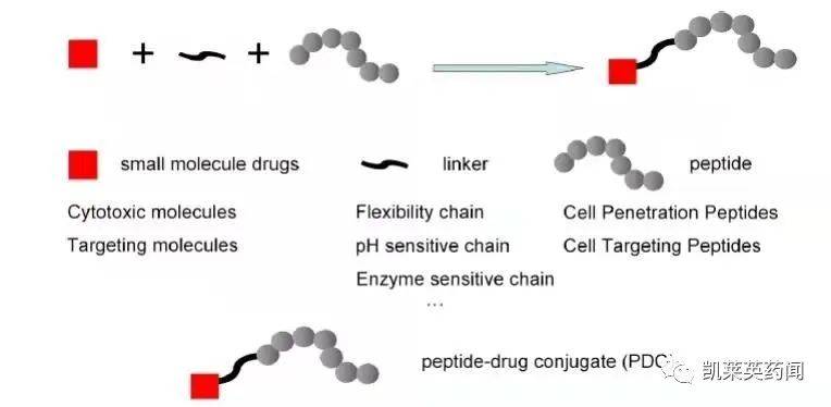 一切都可以偶联：新型偶联药物（NDC）最新研究进展-试药员招聘与临床试验信息平台