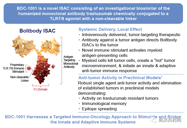 一切都可以偶联：新型偶联药物（NDC）最新研究进展-试药员招聘与临床试验信息平台