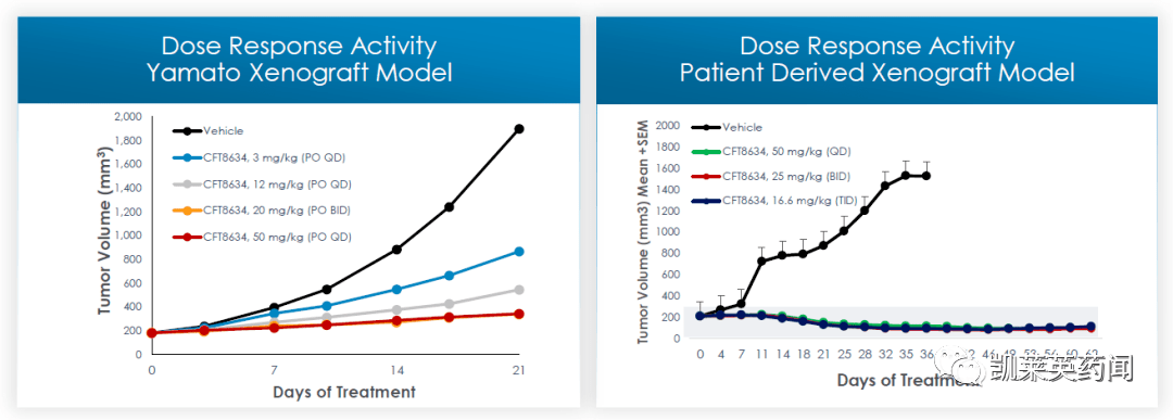 C4 Therapeutics：BiDAC降解剂CFT8634第一位患者在1/2期临床试验中已经完成给药-试药员招聘与临床试验信息平台